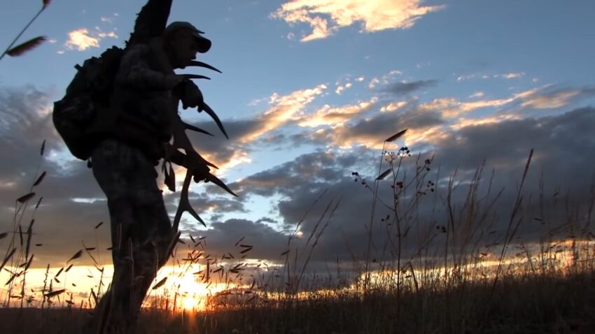 14 Best States to Explore Your Hunting Passion 2024: Express Your Inner ...